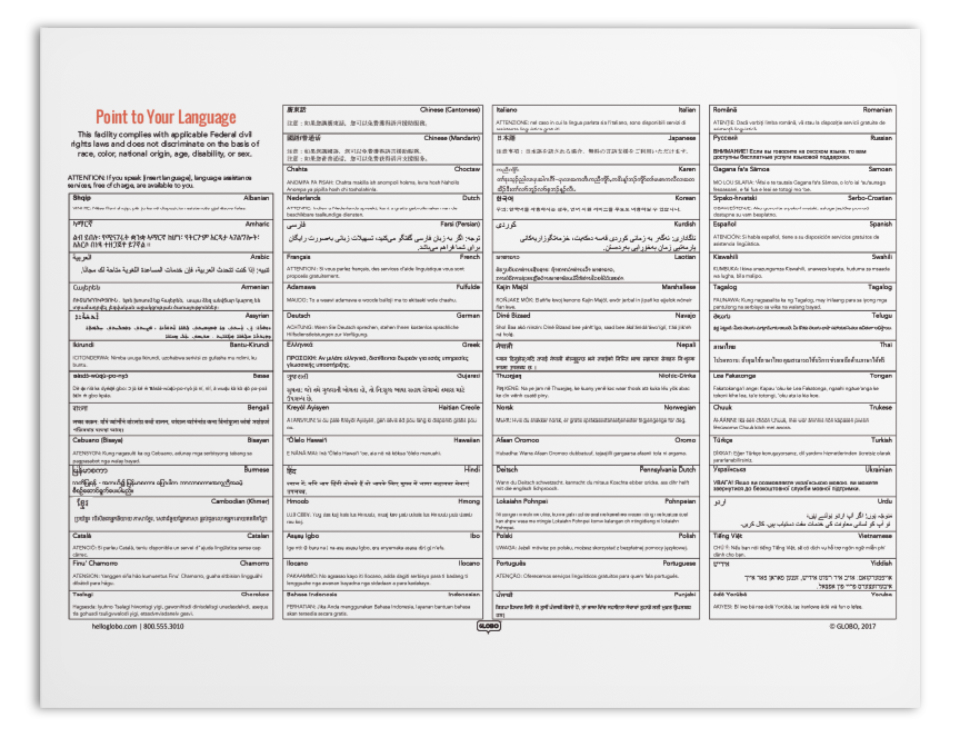 Language Support for Healthcare