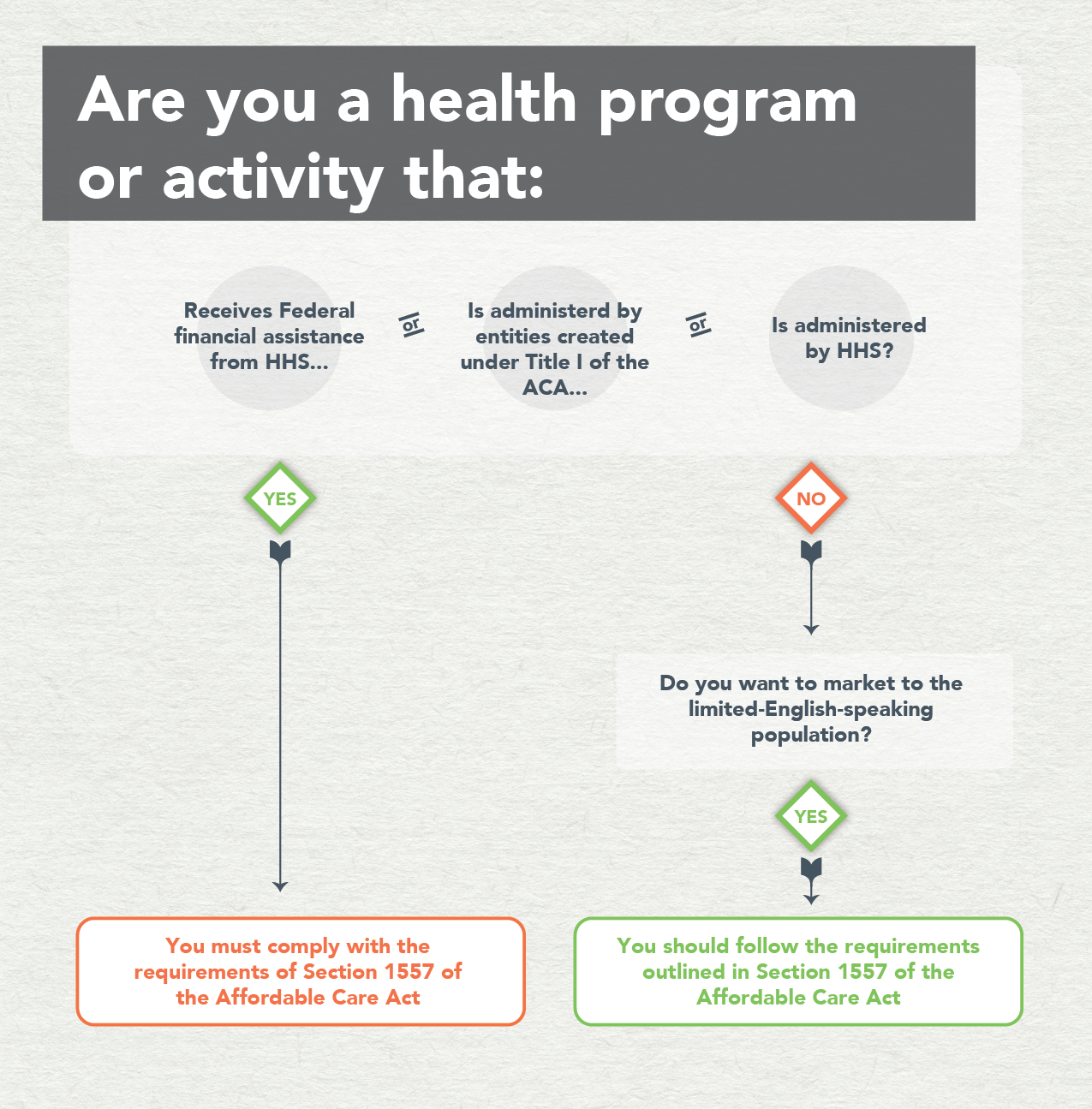 Breaking Down the Language Access Requirements of Section 1557